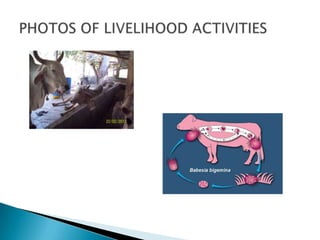 Mavim presentation | PPTX