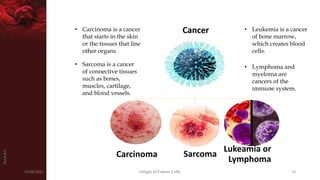 Origin of Cancer | PPTX