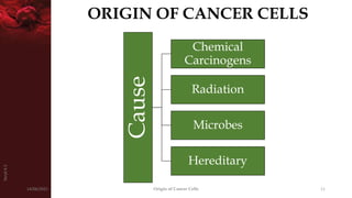 Origin of Cancer | PPTX