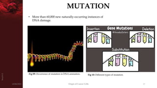 Origin of Cancer | PPTX