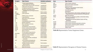 Origin of Cancer | PPTX