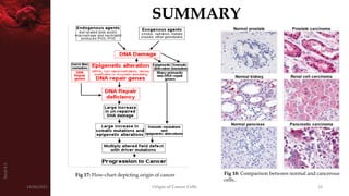 Origin of Cancer | PPTX