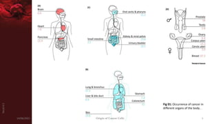 Origin of Cancer | PPTX