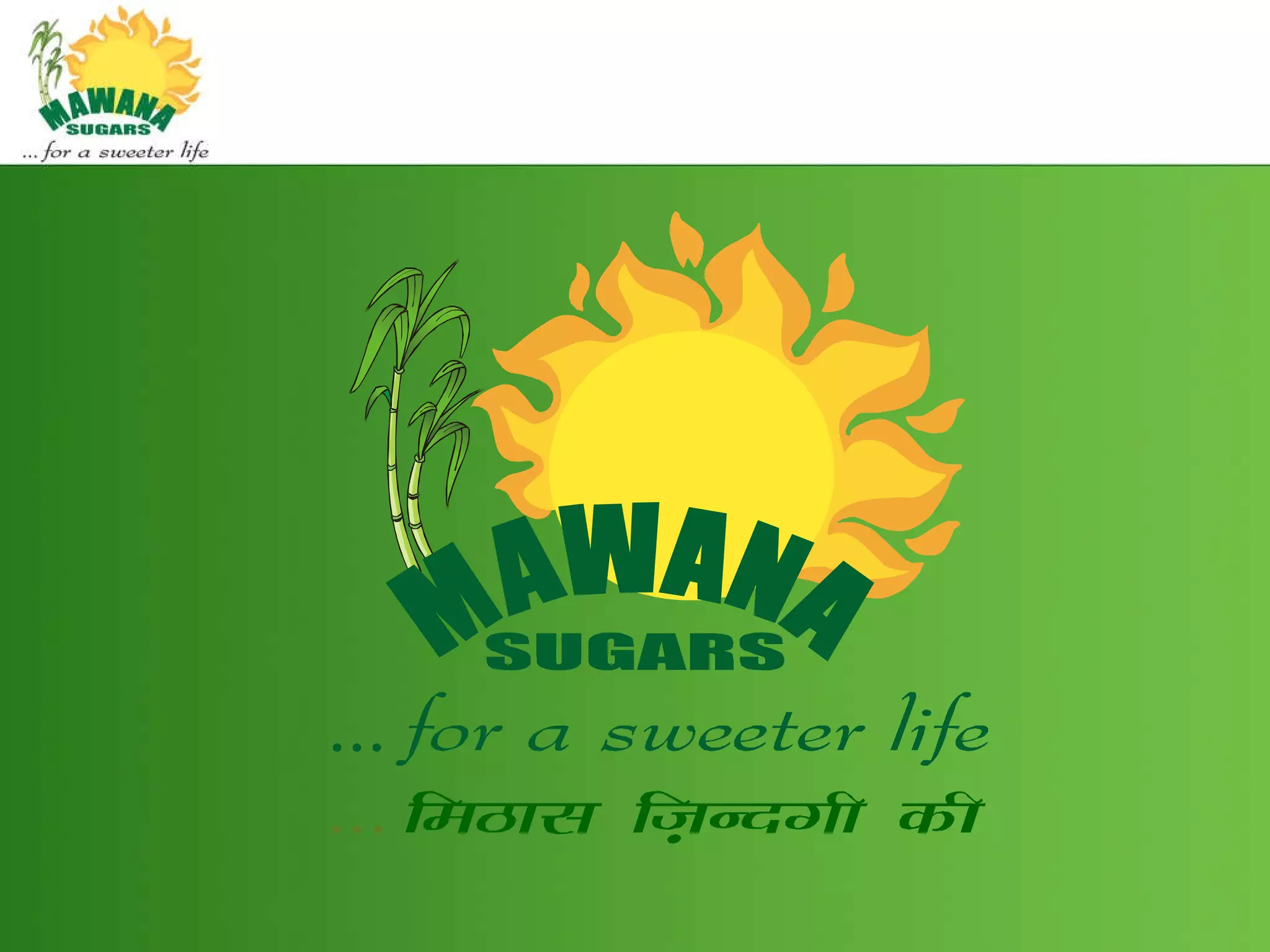Mawana at glance | PPT