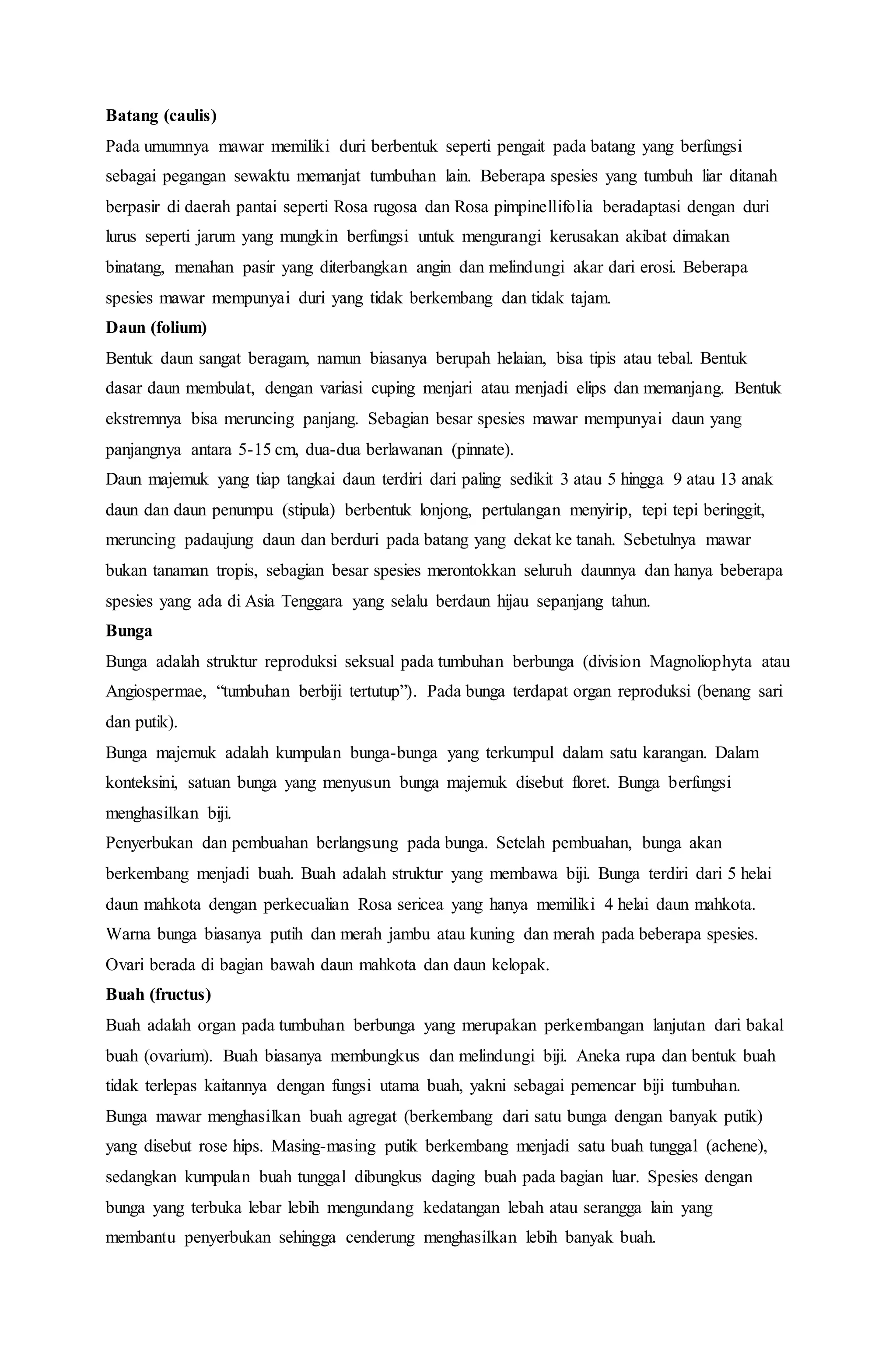 Mawar | DOCX