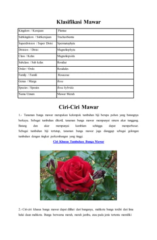 Mawar | DOCX