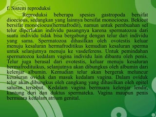 Mawarni+isna ramadani yanti+rahjumi puspita sari | PPTX