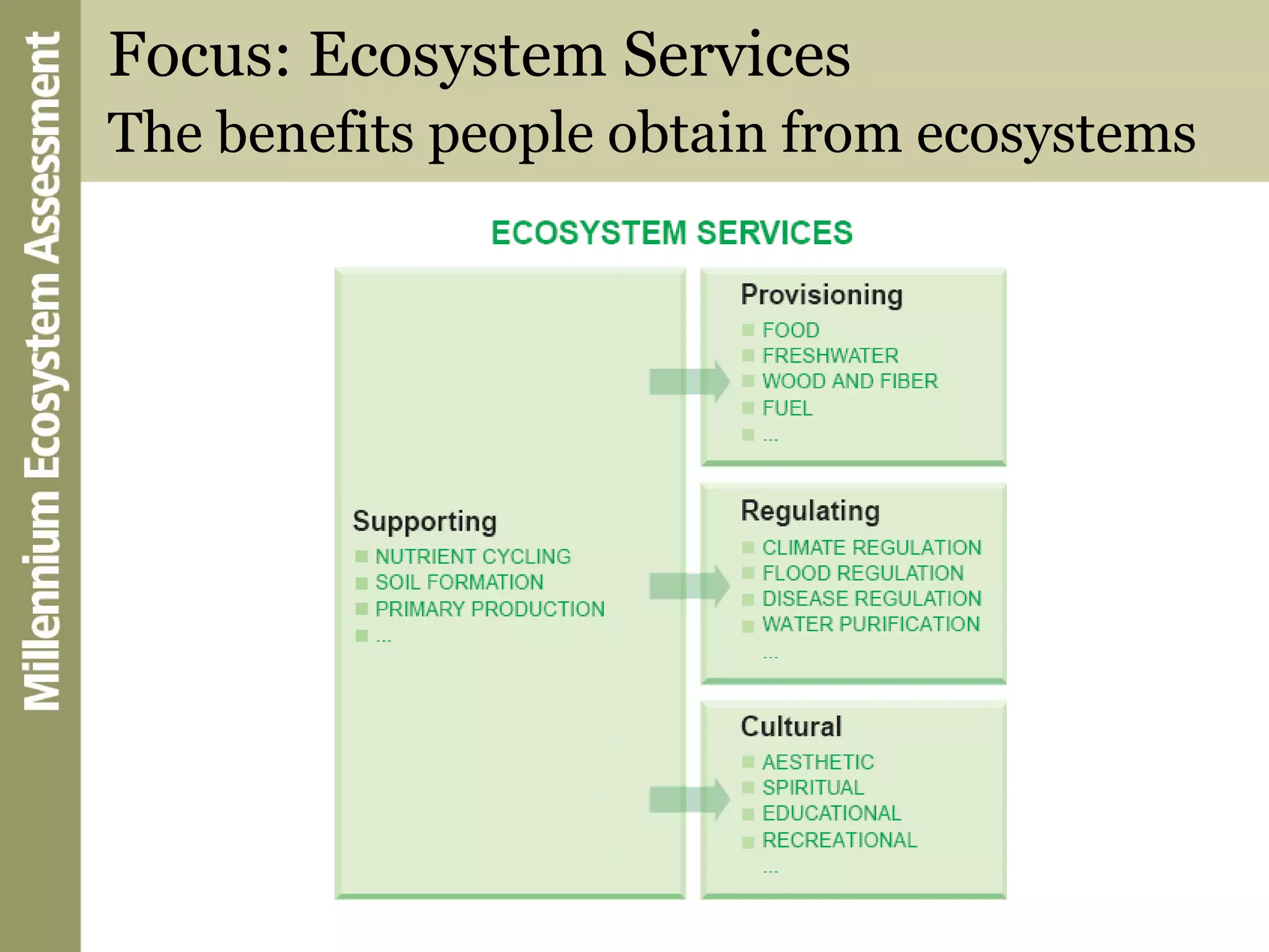 Ecosystem Services (Nature's Services) | PPT