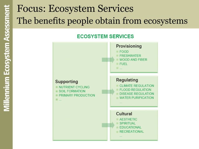 Ecosystem Services (Nature's Services) | PPT