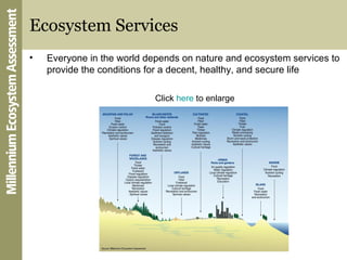 Ecosystem Services (Nature's Services) | PPT