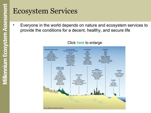 Ecosystem Services (Nature's Services) | PPT