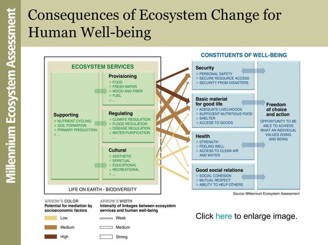 Ecosystem Services (Nature's Services) | PPT