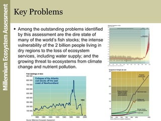 Ecosystem Services (Nature's Services) | PPT
