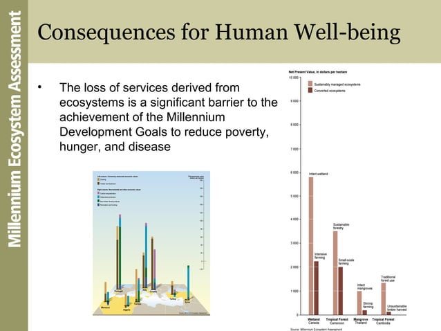 Ecosystem Services (Nature's Services) | PPT