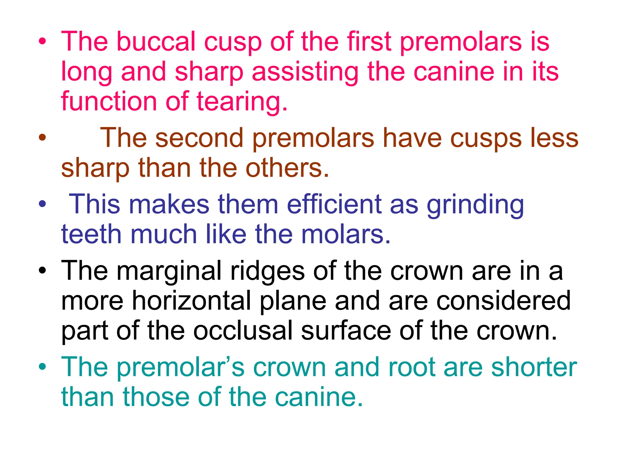 Max. first Premolars Lecture , Dental Anatomy | PPT
