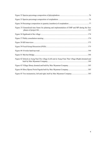Max-Myanmar-Manufacturing_EIA_Max_Taung-Philar.pdf