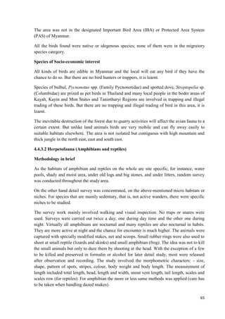 Max-Myanmar-Manufacturing_EIA_Max_Taung-Philar.pdf