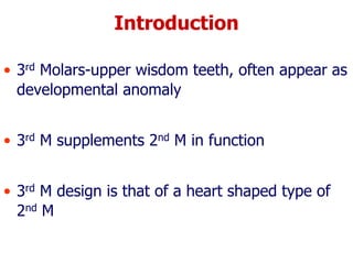 Max 2nd & 3rd molars.ppt