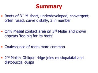 Max 2nd & 3rd molars.ppt