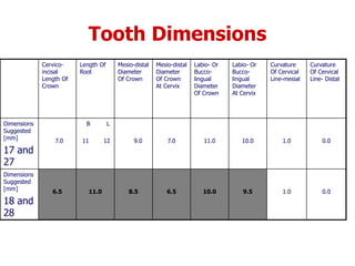 Max 2nd & 3rd molars.ppt