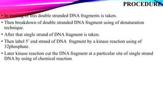 Maxam and gibert dna sequencing | PDF