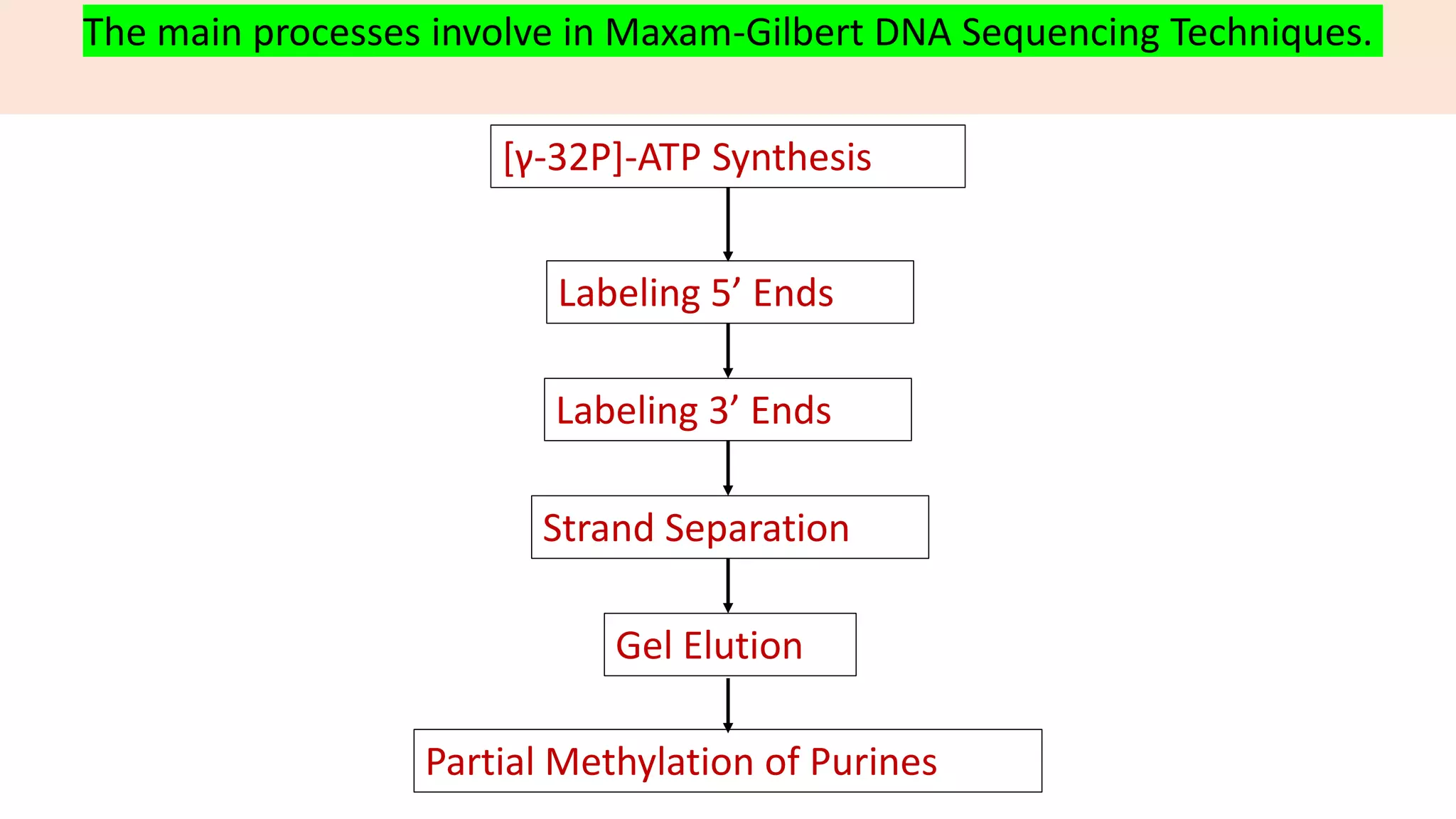 Maxam gilbert method for DNA Sequencing | PPTX