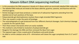Maxam gilbert method for DNA Sequencing | PPTX