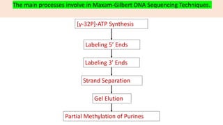 Maxam gilbert method for DNA Sequencing | PPT
