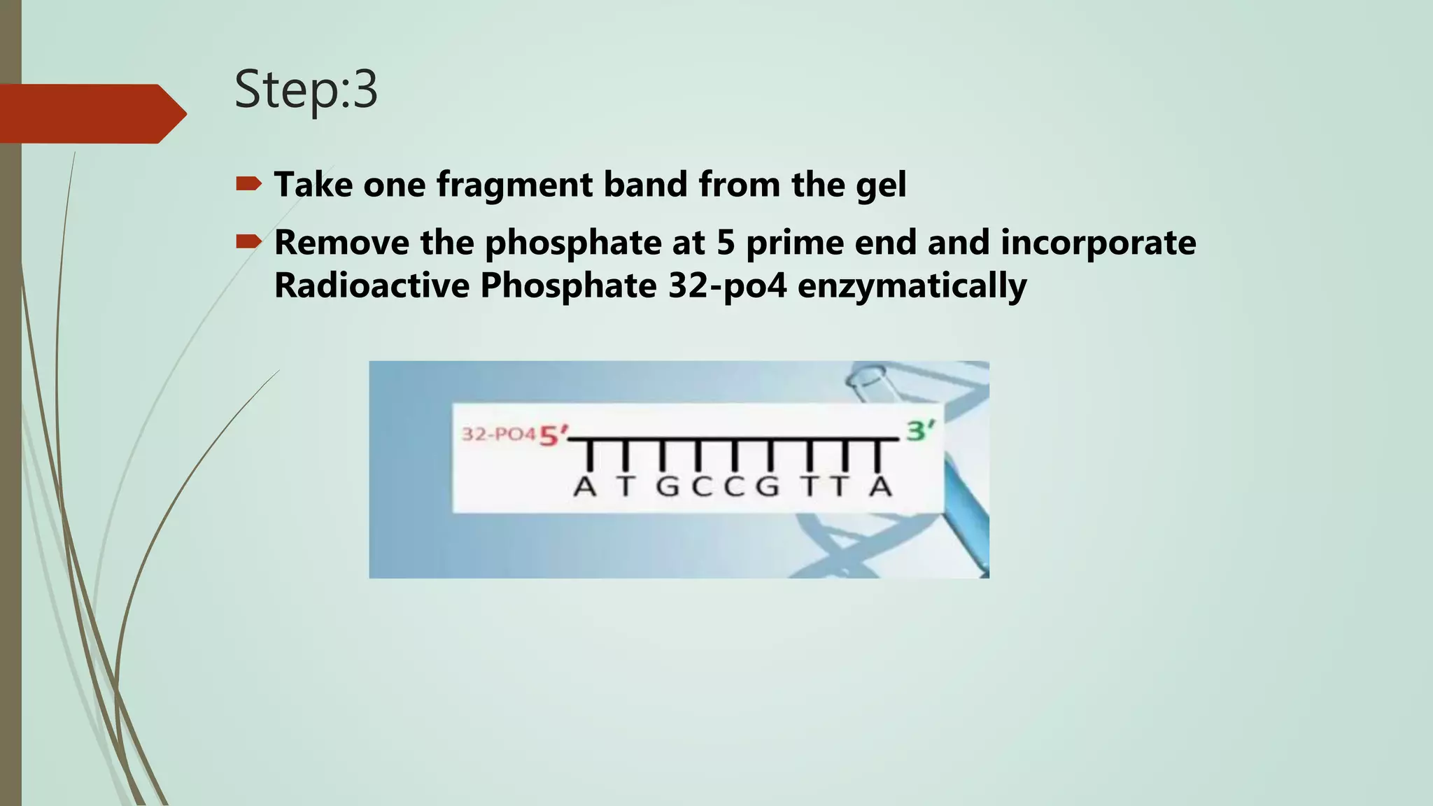 Maxam gilbert sequencing method | PPTX