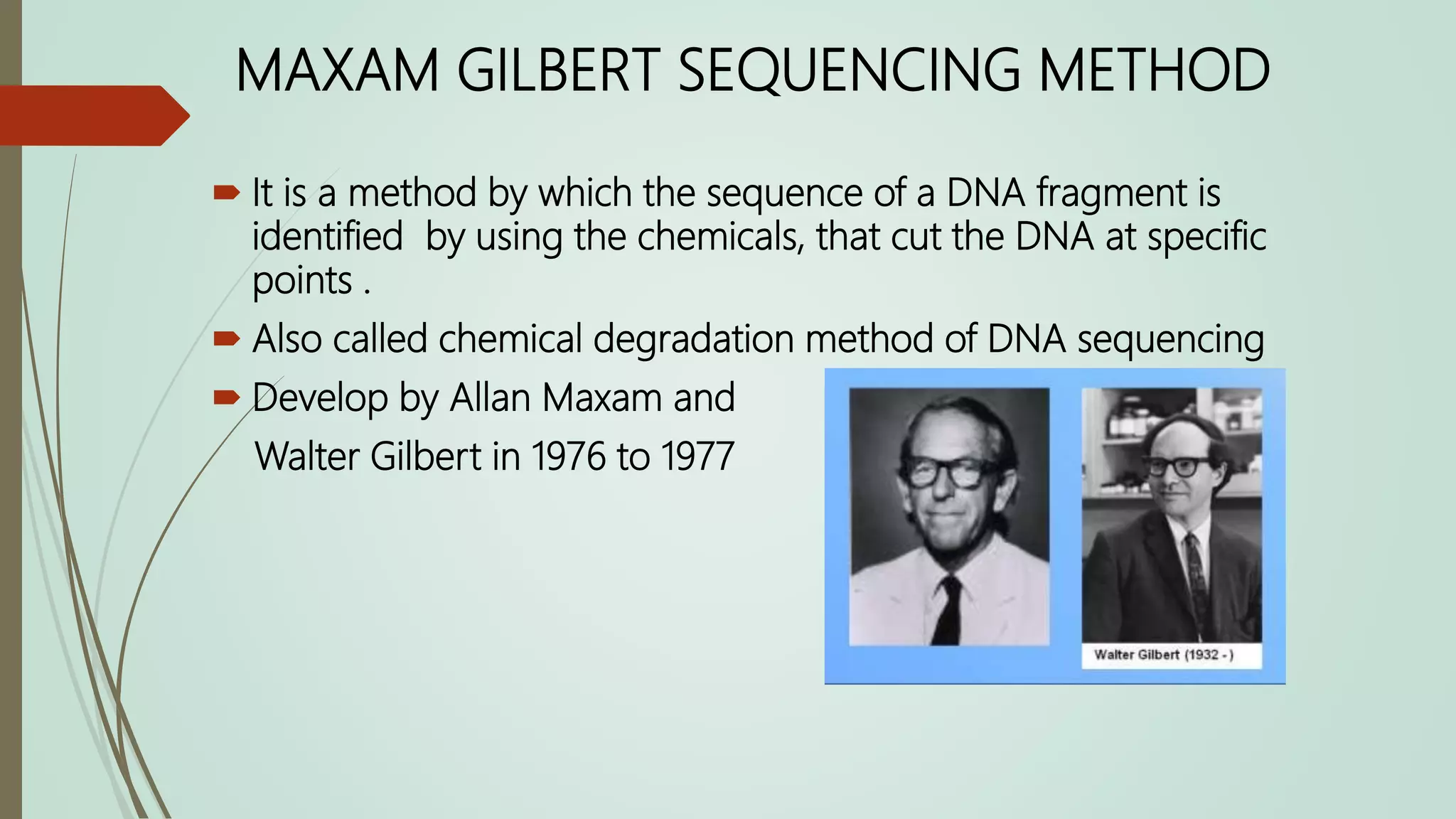 Maxam gilbert sequencing method | PPTX Maxam gilbert sequencing method | PPTX