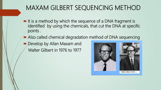 Maxam gilbert sequencing method | PPTX