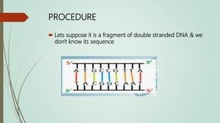 Maxam gilbert sequencing method | PPTX