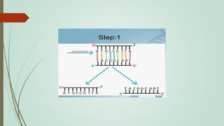 Maxam gilbert sequencing method | PPTX