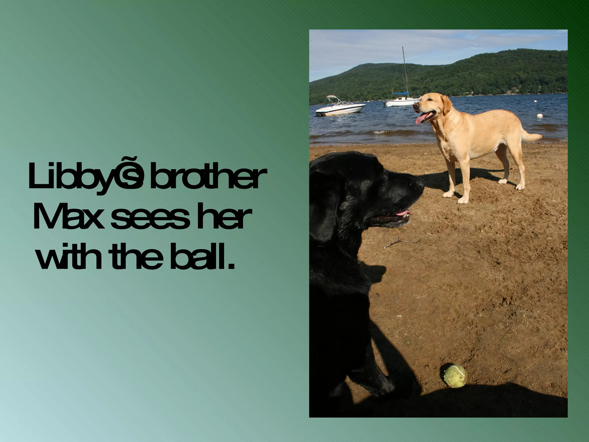 The Story of Max and libby | PPT