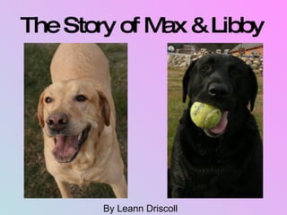 The Story of Max and libby | PPT