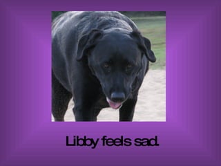 The Story of Max and libby | PPT