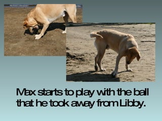 The Story of Max and libby | PPT