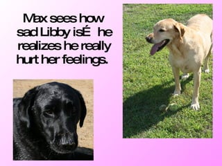 The Story of Max and libby | PPT