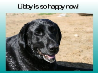 The Story of Max and libby | PPT
