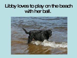 The Story of Max and libby | PPT