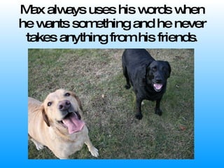 The Story of Max and libby | PPT
