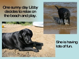 The Story of Max and libby | PPT