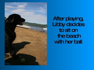 The Story of Max and libby | PPT