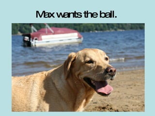 The Story of Max and libby | PPT