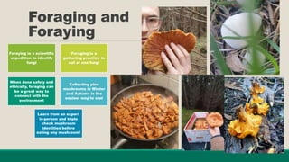 Max Arkley-Smith Fungi Presentation 1704.pptx