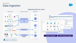 MuleSoft powered AI and Connecting Data Cloud with Mule | PPTX | Cloud Computing | Internet