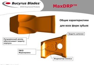 Max drp rus_1 | PPT