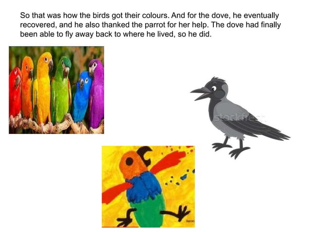Max How the birds got their colours | PPTX | Birdwatching | Hobbies ...