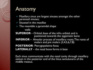 Maxilary sinus | PPT