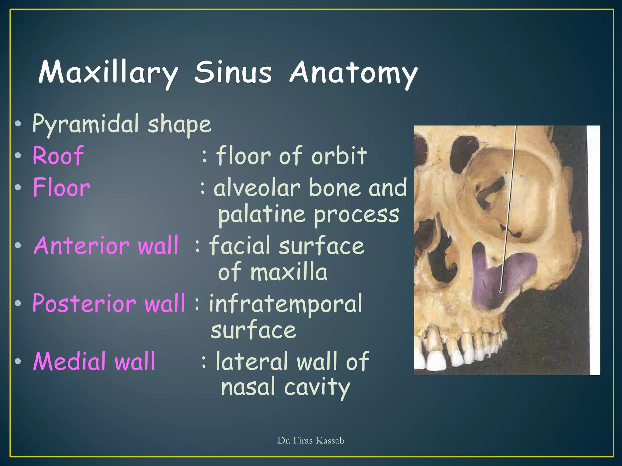 Maxilary sinus augmentation | PDF | Ear, Nose and Throat Conditions ...